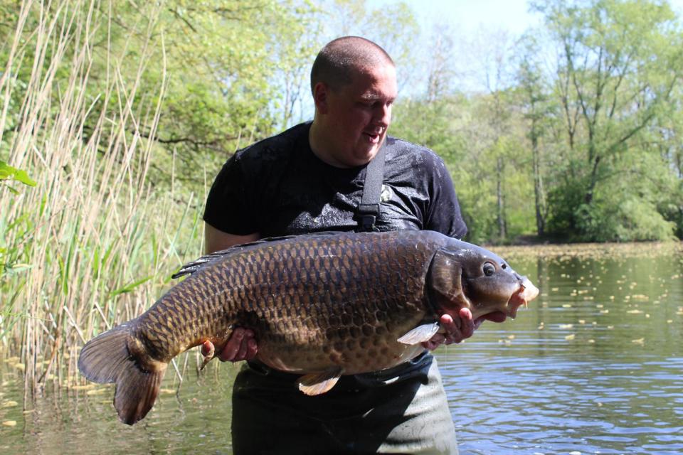 Slate Grey Common | Total Carp